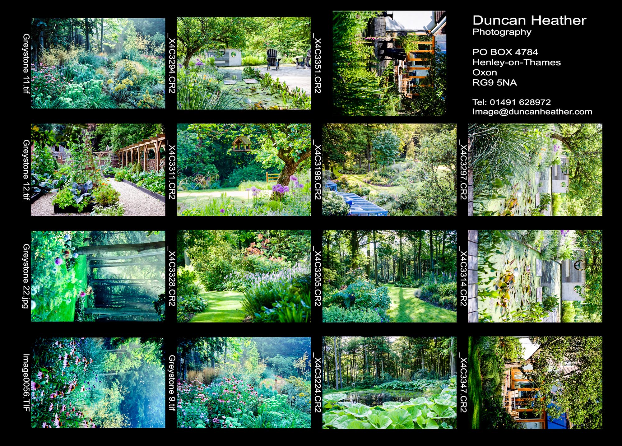 Garden Images: 10 Professional Garden Photography Tips